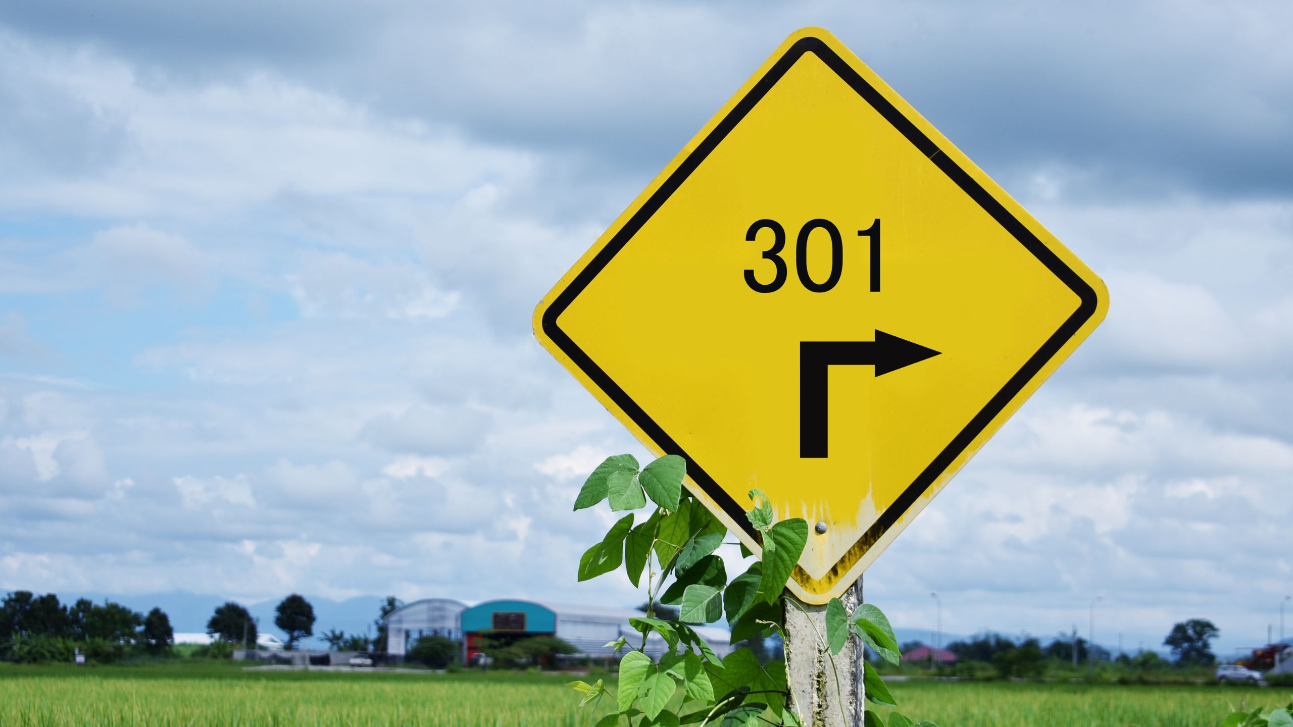 Essential Guide to Using 301 Redirection for Your Website in SEO